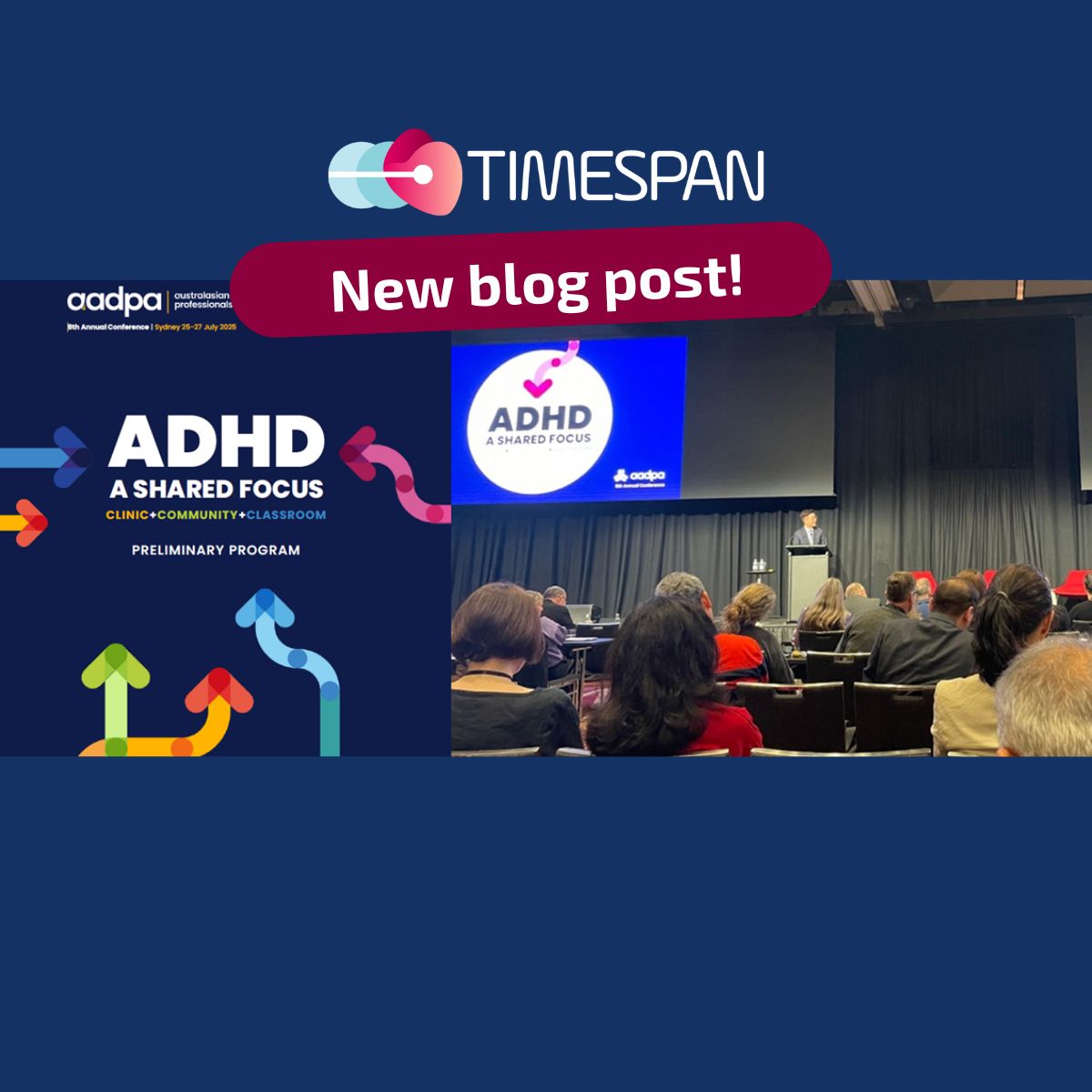 Highlights from AADPA’s 8th Annual Conference | TIMESPAN